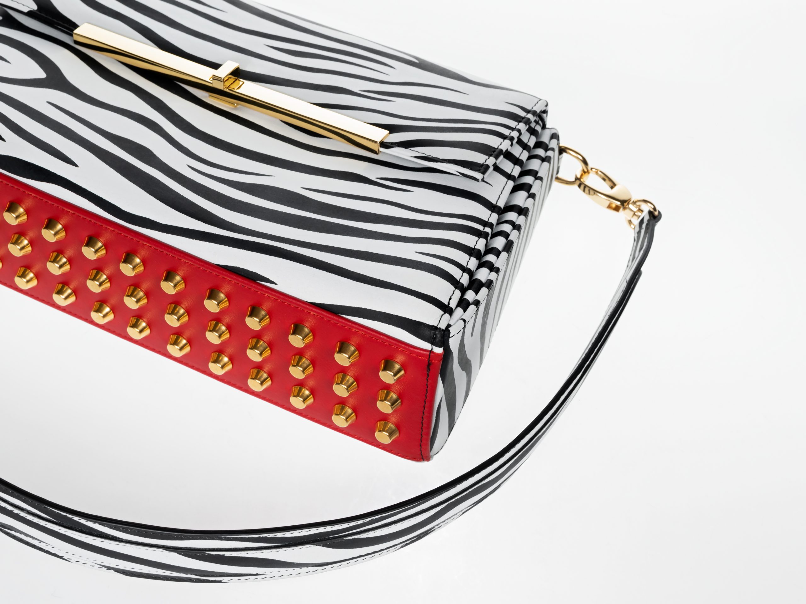 GUNTHER/zebra/ - VIRAG KERENYI